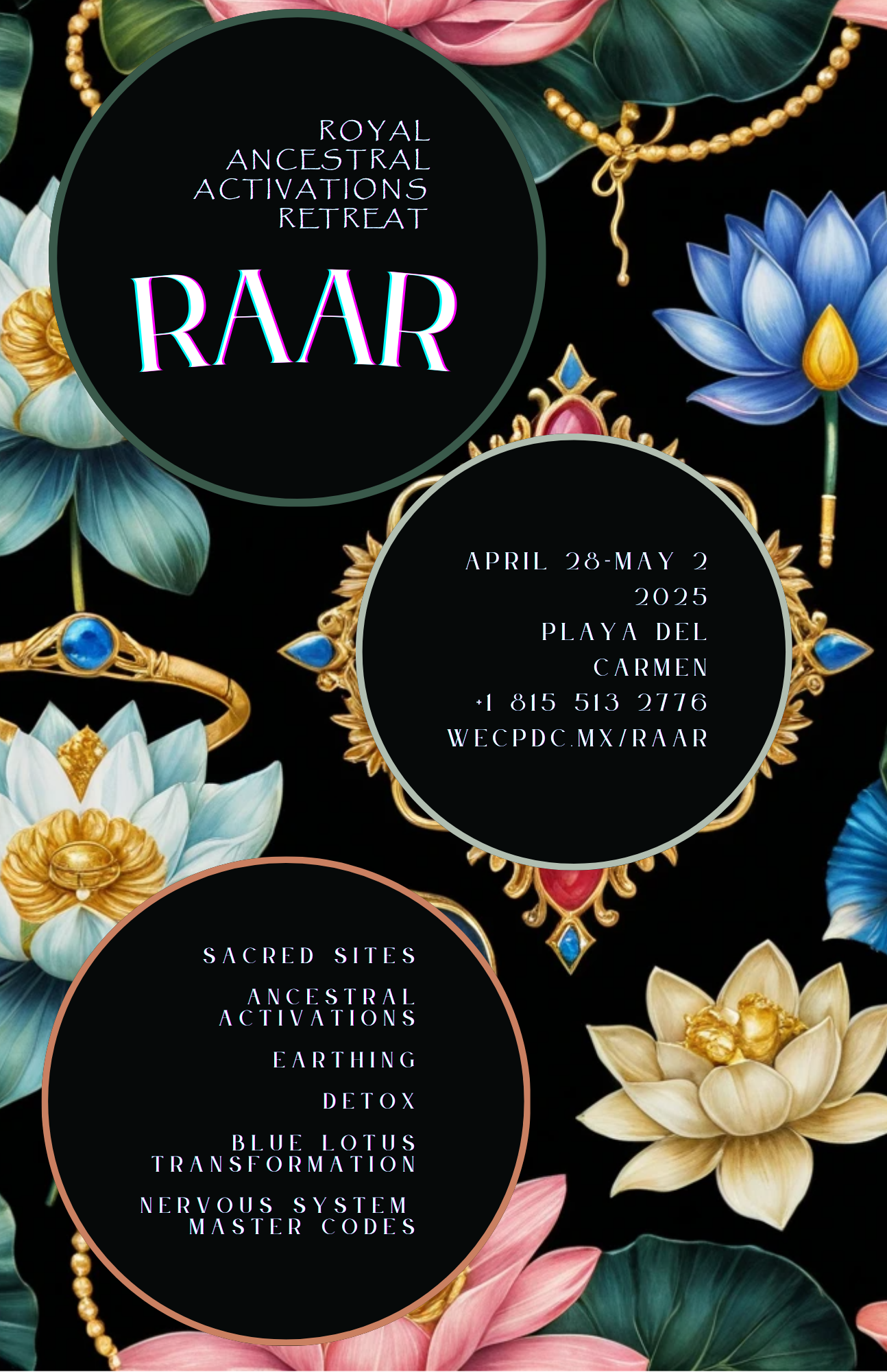 Raar – Wholeness Earthing Clubhouse Playa Del Carmen retreat center for ...